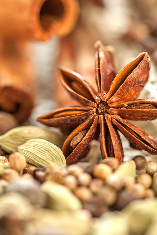 Different Spices Assortment: Cinnamon Cardamom Pepper Illicum Stock ...
