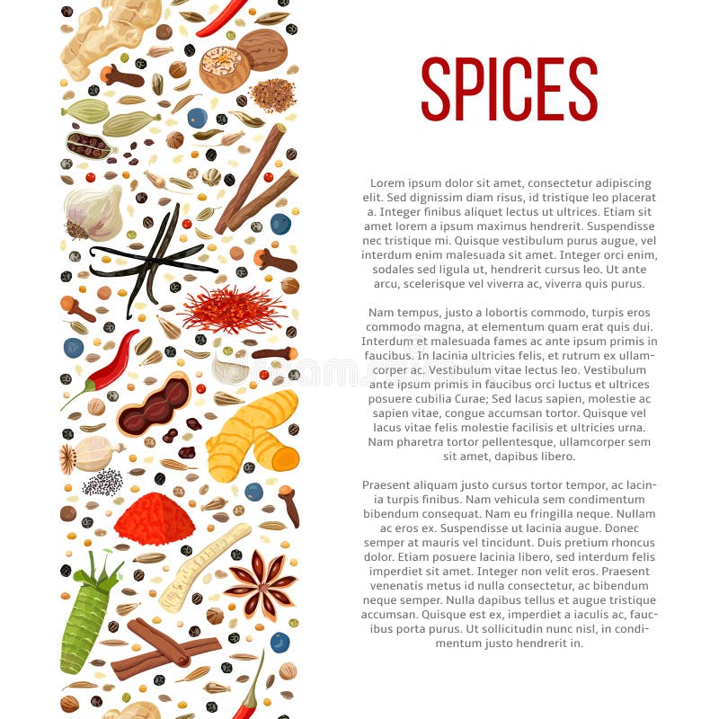 Different Spices with Description Text Stock Vector - Illustration of ...