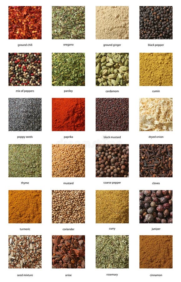 Different Spices Isolated on White Background. Stock Photo - Image of ...