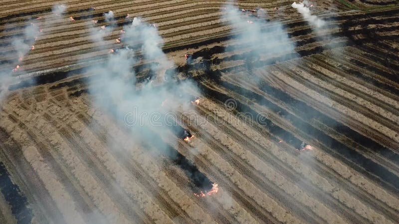 Different Spot of Fire Due To Open Burning Stock Footage - Video of ...