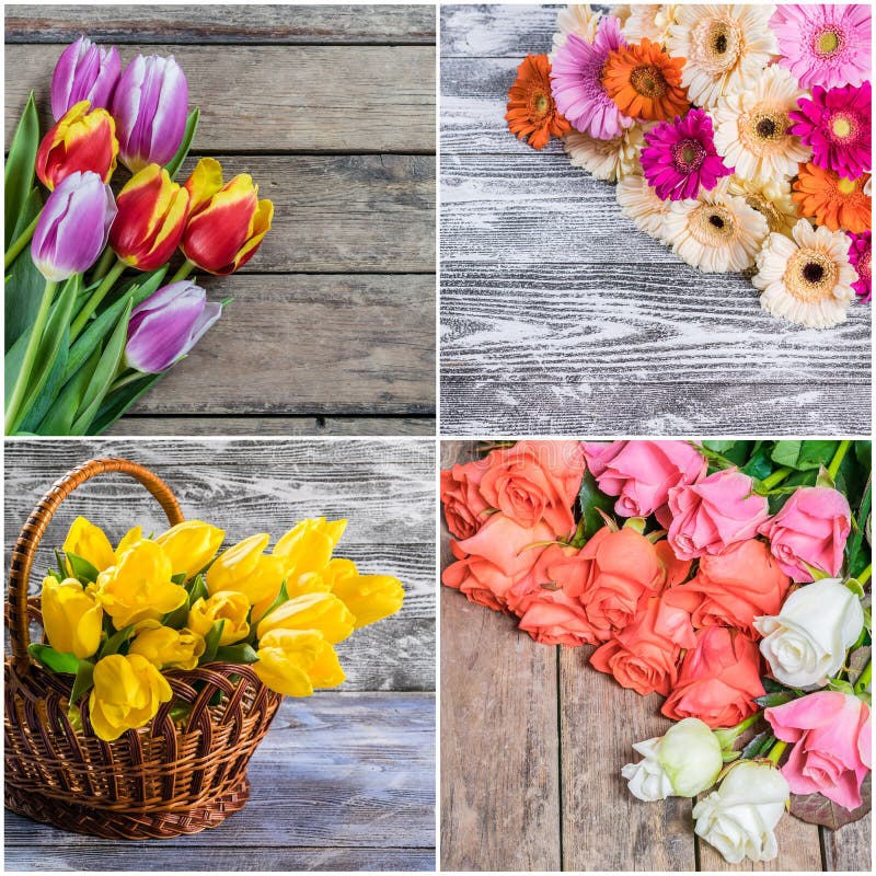 Different Spring Flowers stock photo. Image of gift, selective - 85886502