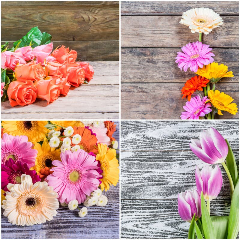 Different Spring Flowers stock image. Image of selective - 85886535