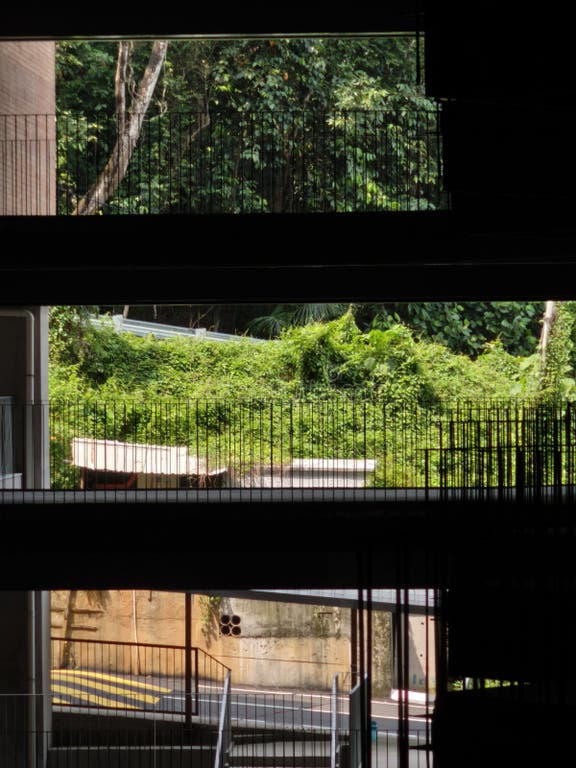 29,218 Stage Life Sstage Stock Photos - Free & Royalty-Free Stock ...