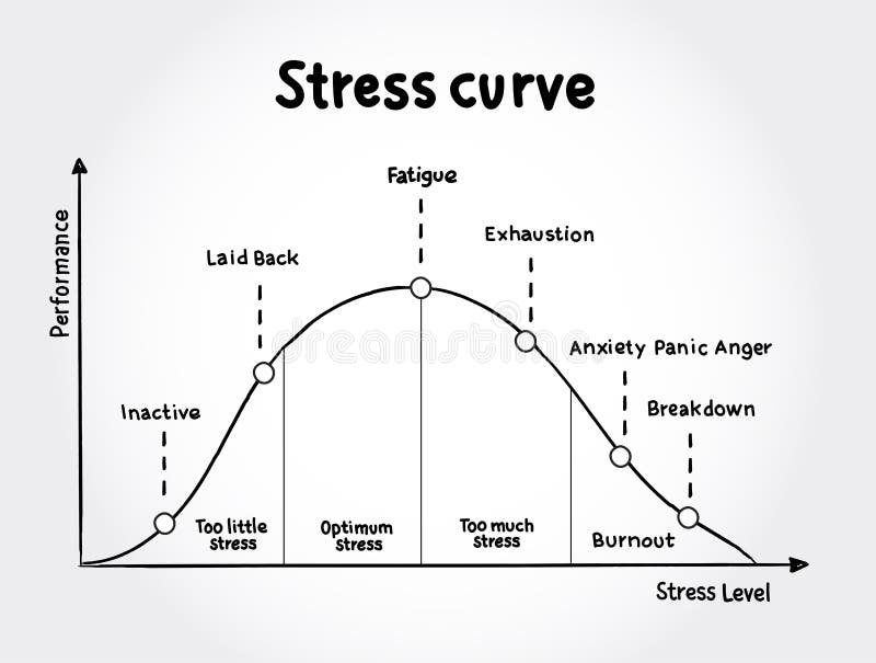 Stress Performance Curve Stock Illustrations – 63 Stress Performance ...