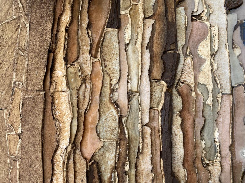 Different Styles and Coloured Stone Steps Stock Photo - Image of ...