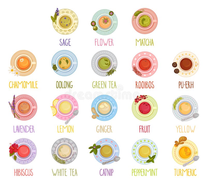 Different Tea Types and Herbal Drinks Poured in Teacup Standing on ...