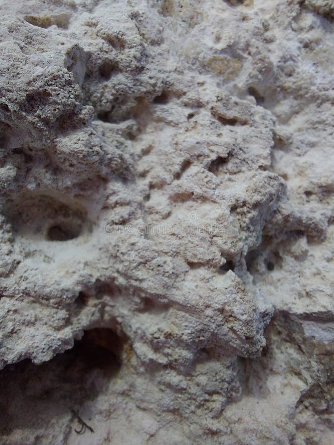 Different Textures Macro Images Stock Image - Image of leaves, vera ...