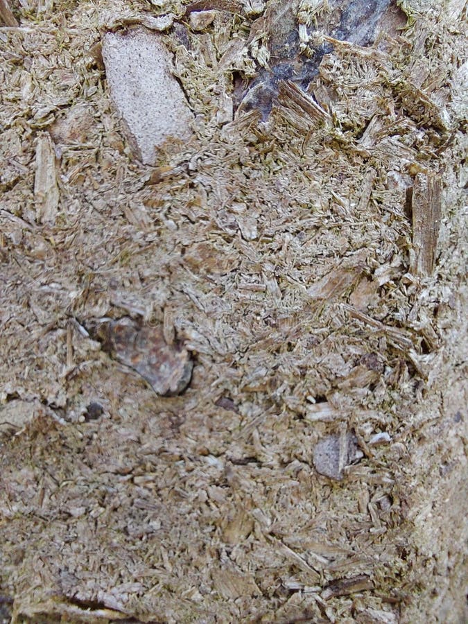 Different Textures Macro Images Stock Image - Image of nature, vera ...