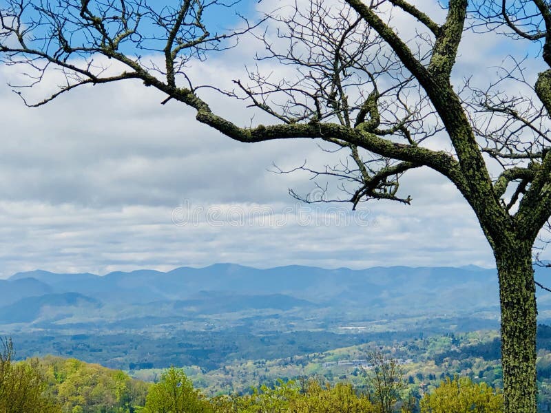 Summer in the Blue Ridge Mountains Stock Photo - Image of blue, ridge ...