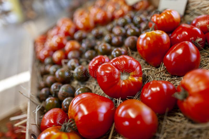 Different tomato varieties stock image. Image of cherry - 124638133