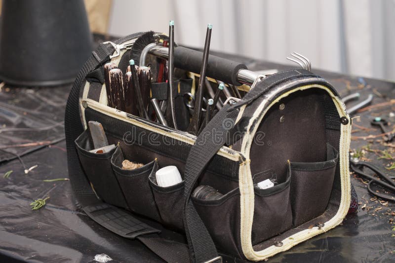 Bonsai tree tools. stock image. Image of pruning, closeup - 120398977