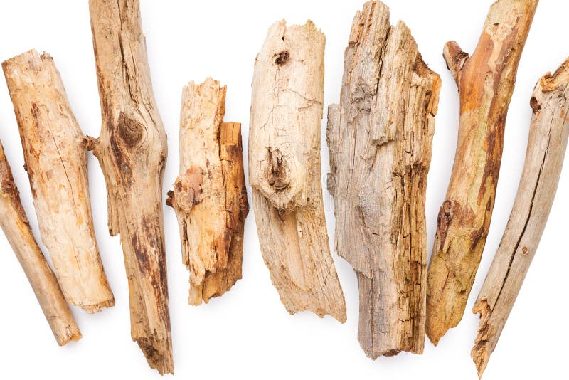 Tree Sticks Isolated on White Background Stock Photo - Image of ...