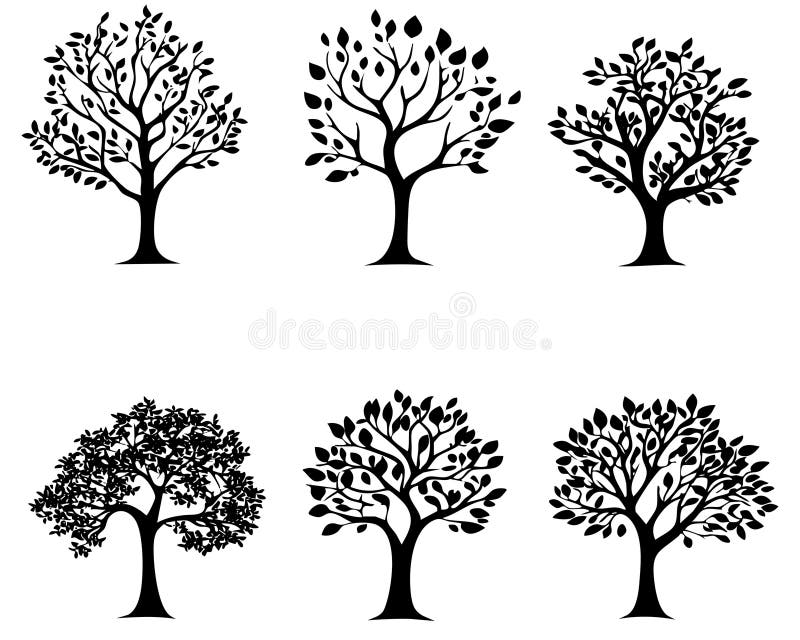 Different Tree Vector Shapes Showcasing Various Styles and Leaf ...