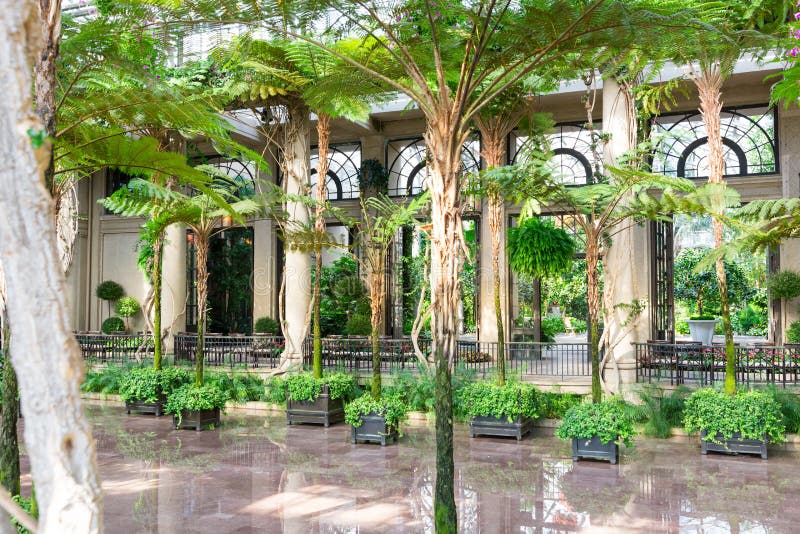 Different Trees and Plants in Botanical Garden. Stock Photo - Image of ...