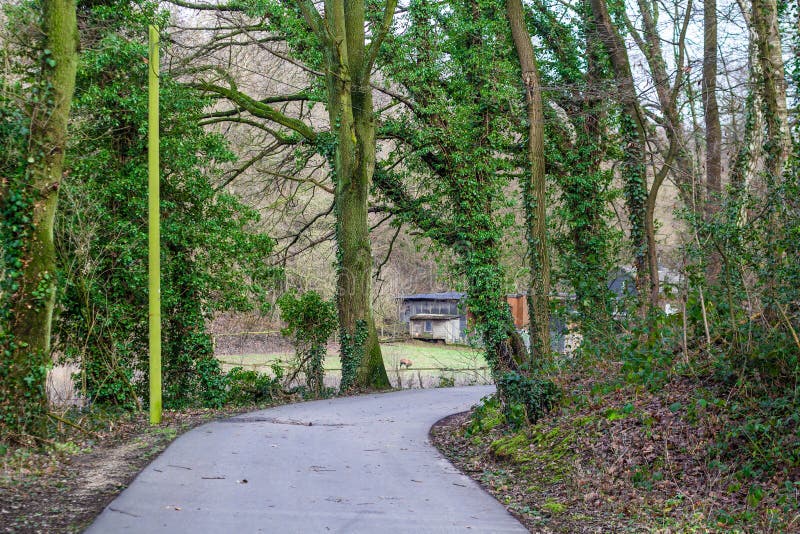 Different Trees Stand without Foliage Along the Small Path Stock Image ...