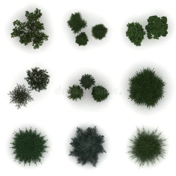 Different Trees from Top View Stock Illustration - Illustration of ...