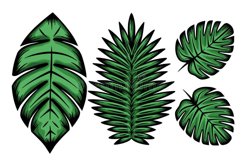 Different Tropical Leaf - Hand Drawn - Vector Illustration Stock Vector ...