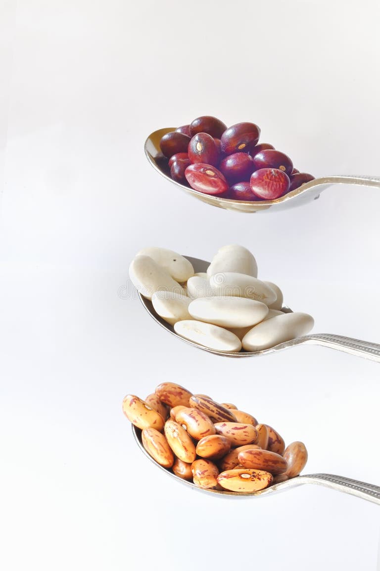 Different Type Pinto Beans Stock Photos - Free & Royalty-Free Stock ...