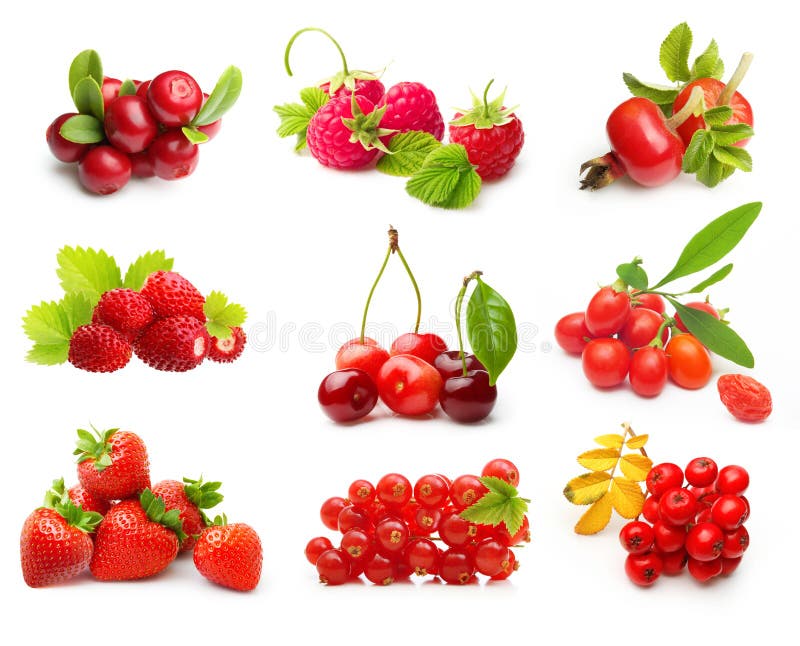 Different Type of Berry Fruits Isolated Stock Image - Image of fresh ...