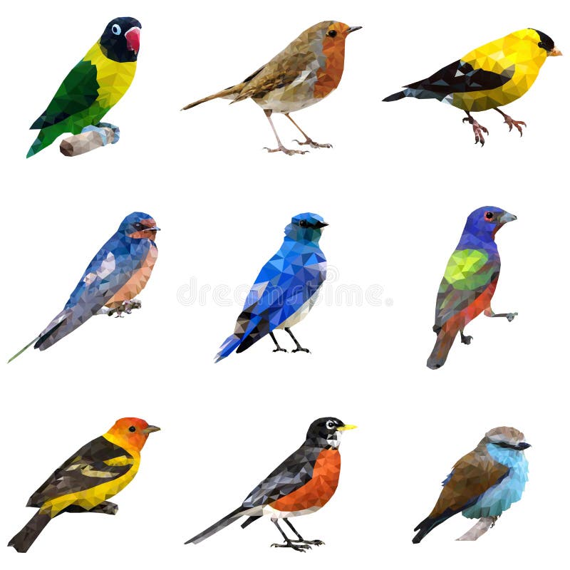 Different Type of Birds stock vector. Illustration of parrot - 70762560