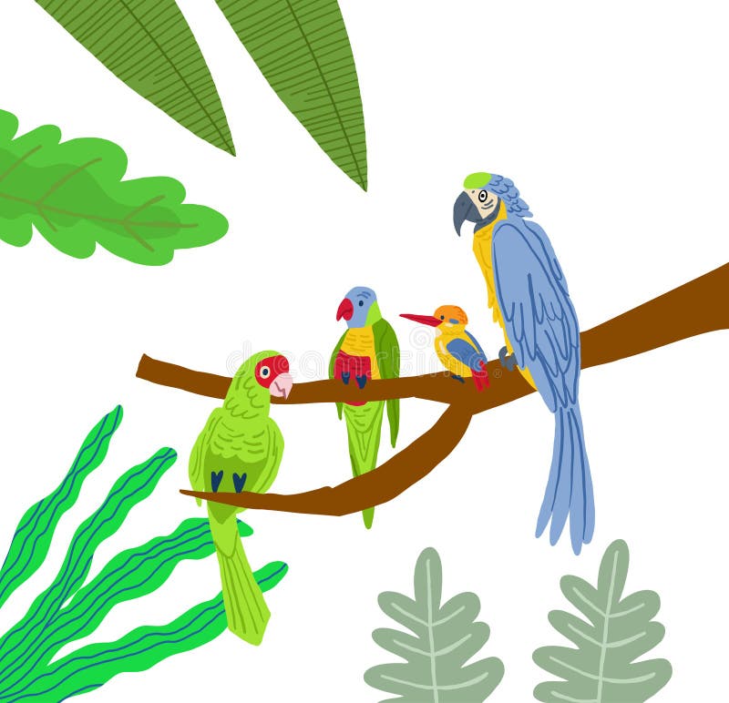 Different Type of Exotic Birds. Vector Flat Cartoon Graphic Design ...