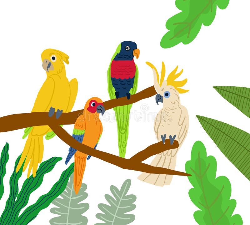 Different Type of Exotic Birds. Vector Flat Cartoon Graphic Design ...