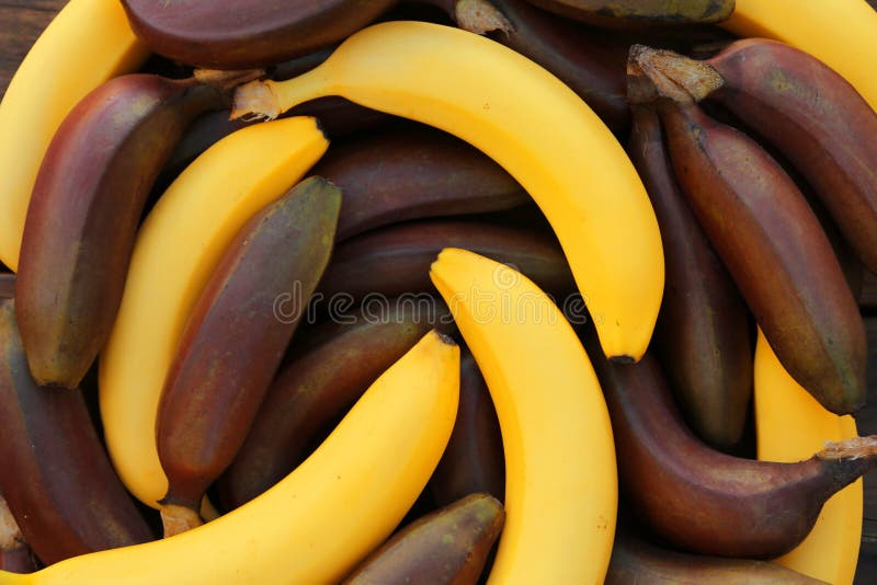 Different Types of Bananas As Background, Top View Stock Image - Image ...