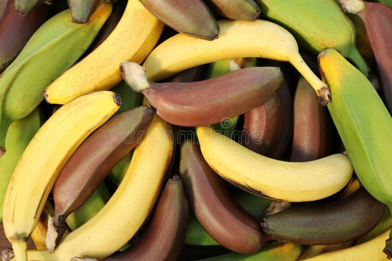Different Types of Bananas As Background, Top View Stock Image - Image ...