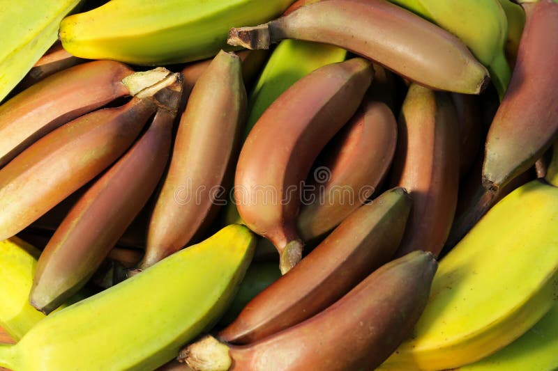 Different Types of Bananas As Background, Top View Stock Photo - Image ...