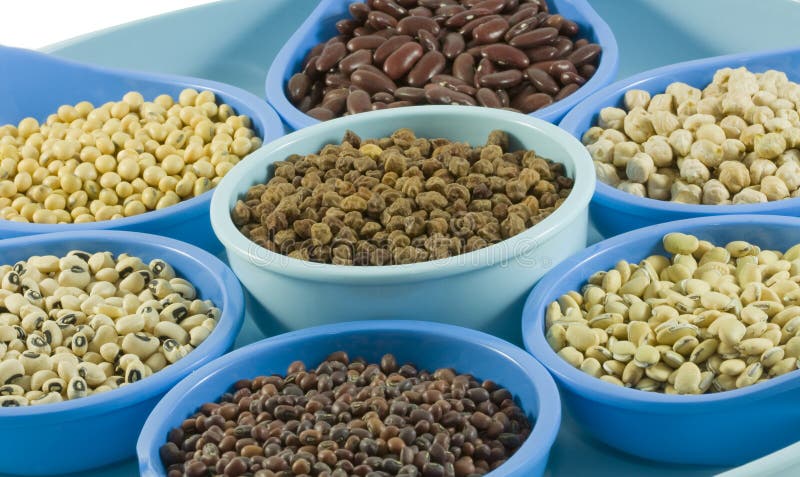 Different Types of Beans and Pulses in Containers Stock Photo - Image ...