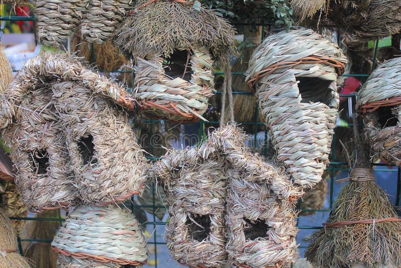 Different Types of Bird Nests Stock Photo - Image of animal, nests ...