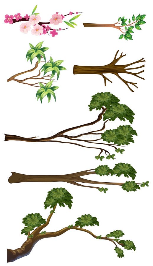 White Background With Different Types Leaves And Branches Stock Vector ...