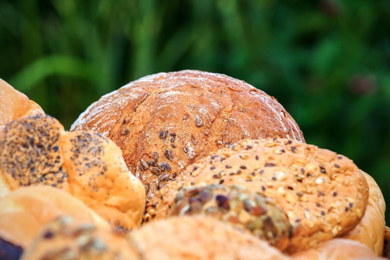 Different types of bread stock photo. Image of meal, flour - 44005978