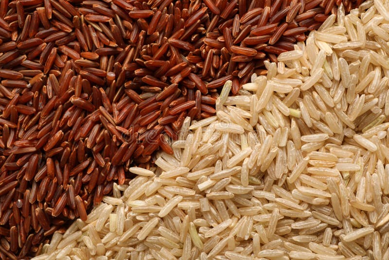 Different Types of Brown Rice As Background Stock Photo - Image of ...
