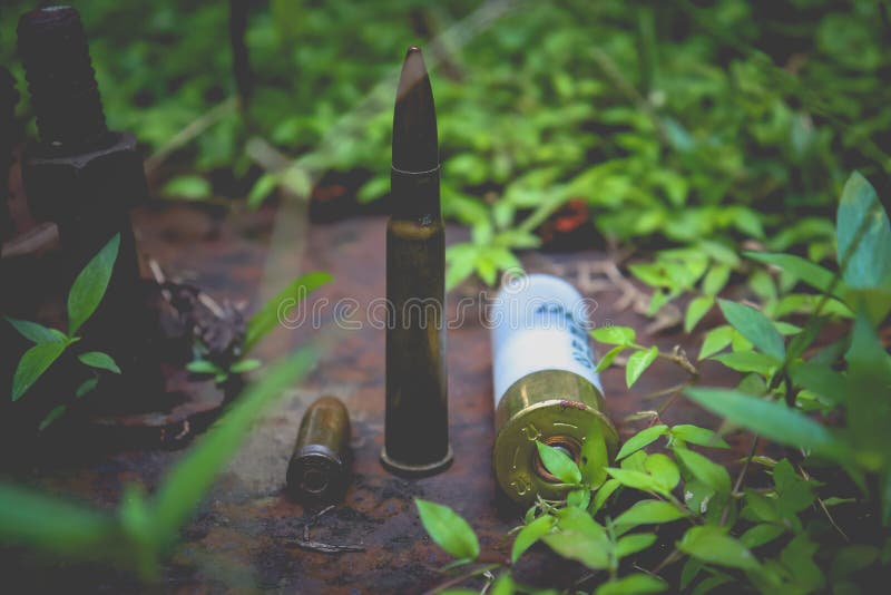 Different types of bullets stock image. Image of forest - 265061305