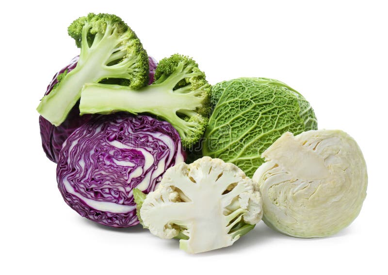 Different Types of Cabbage on White Background Stock Photo - Image of ...