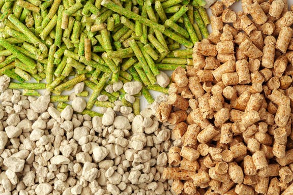 Different Types of Cat Litter Close Up Stock Image - Image of litter ...