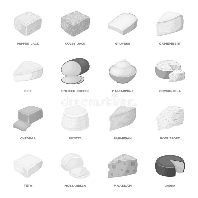 Different Types of Cheese. Different Types of Cheese Set Collection ...