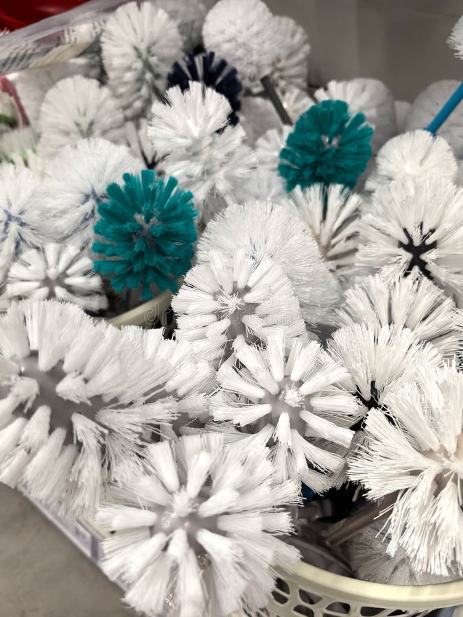 Different Types of Cleaning Brushes Arranged in a Storage Container ...