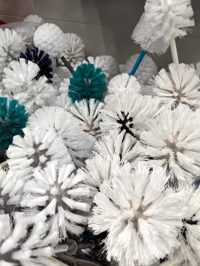 Different Types of Cleaning Brushes Arranged in a Storage Container ...
