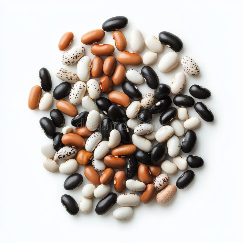 Different Types of Colorful Beans Stock Photo - Image of protein ...