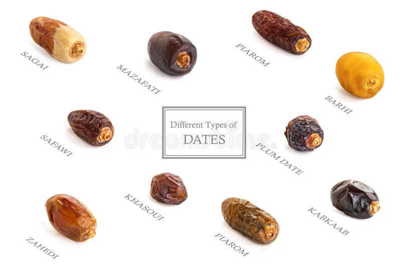 Different Types of Dates Single with Name Stock Photo - Image of ...