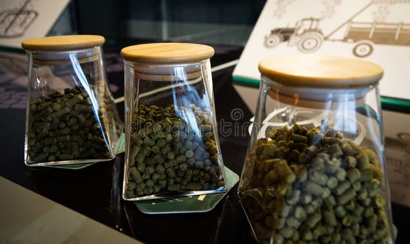 Different Types of Dried Hops Plant for Making Beer in Cans Stock Image ...