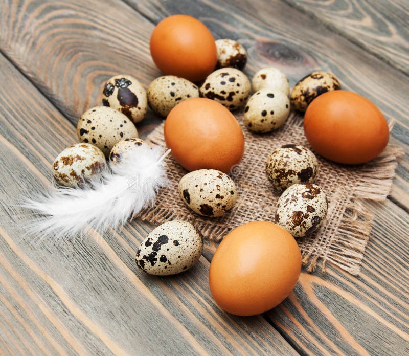 Different types of eggs stock image. Image of easter - 50310531