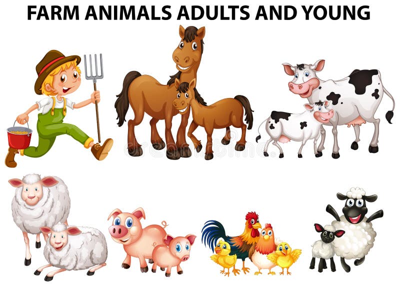 Different Types of Farm Animals with Adults and Youngs Stock Vector ... Different Types of Farm Animals with Adults and Youngs Stock Vector ...