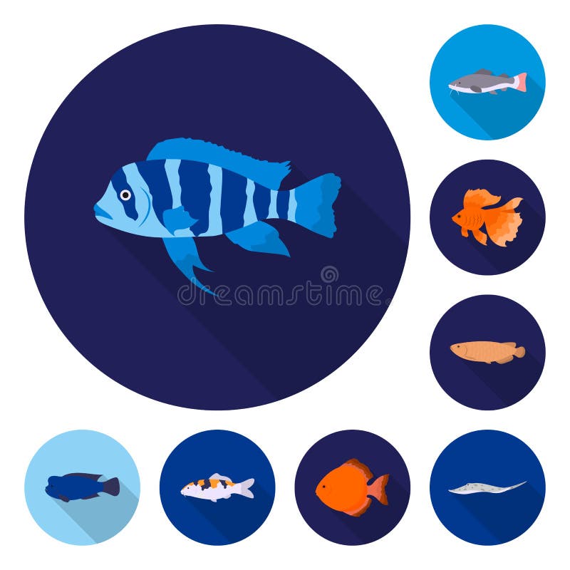 Different Types of Fish Flat Icons in Set Collection for Design. Marine ...