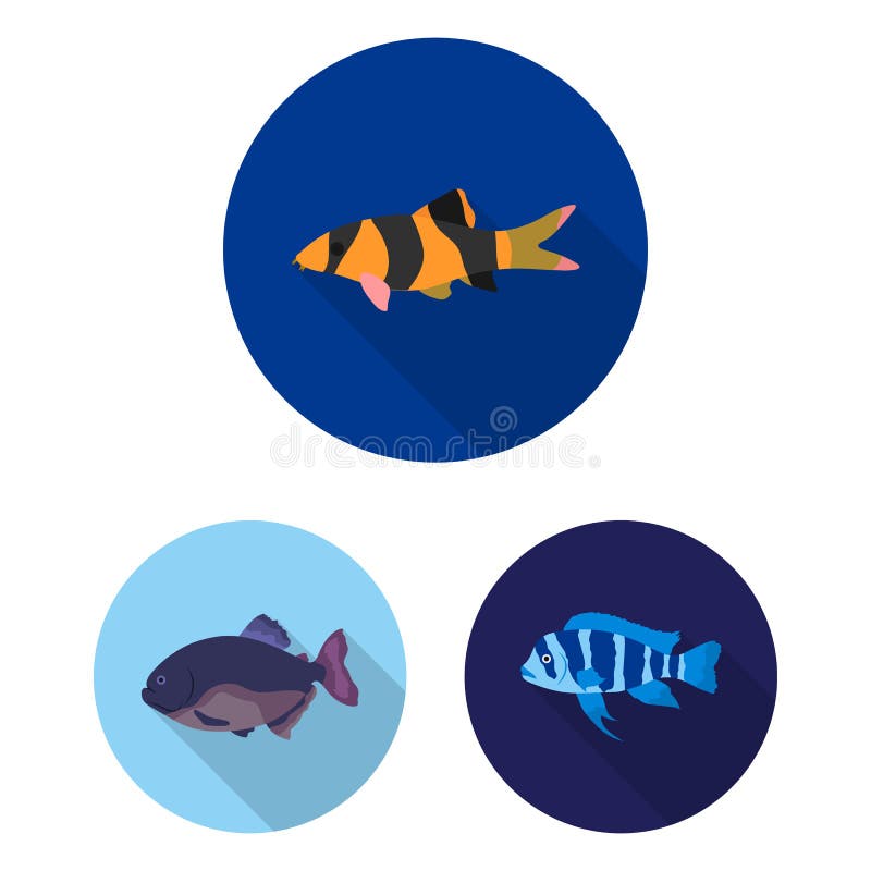 Different Types of Fish Flat Icons in Set Collection for Design. Marine ...
