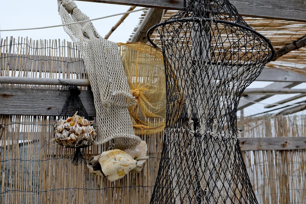 Different types of fishnet stock photo. Image of marine - 80469842