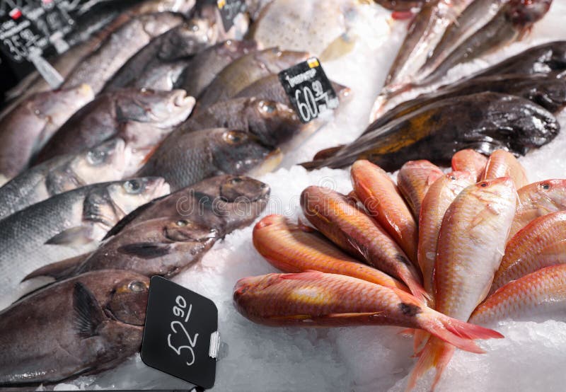 Different Types of Fresh Fish on Ice Stock Image - Image of product ...