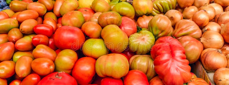 Different Types of Fresh Tomatoes on Display Stock Photo - Image of ...